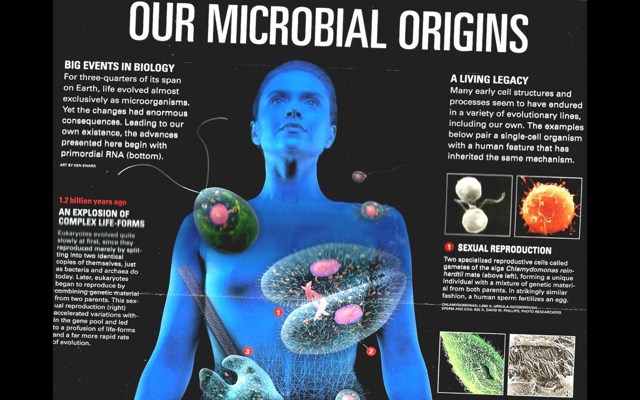 Manash (Subhaditya Edusoft): Microbial Origin & Life on Earth