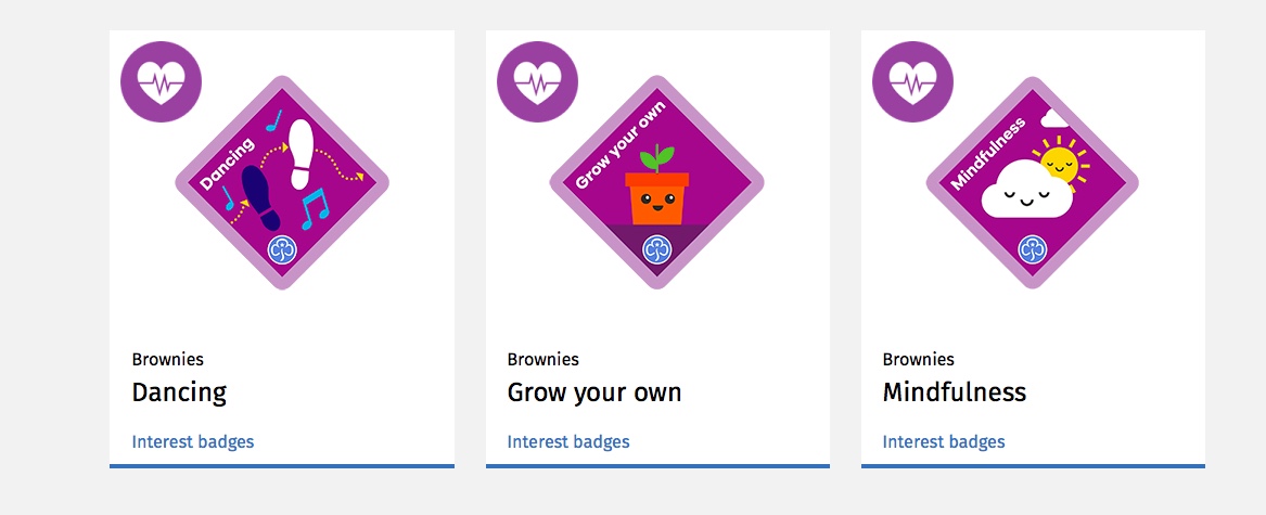 3rd Cowbridge Brownies : Skills Builder 'Be Well' Theme