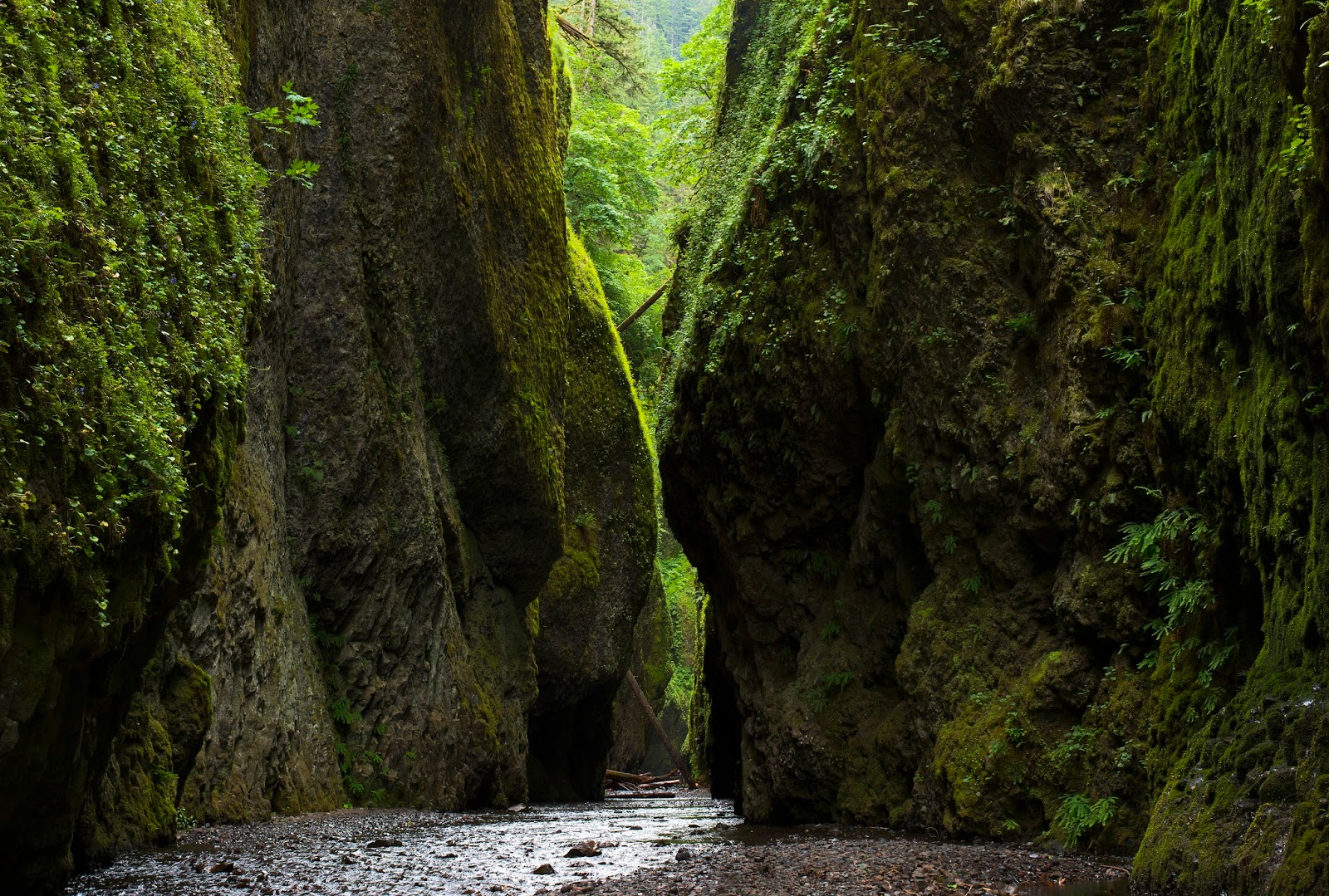 Oneonta Gorge