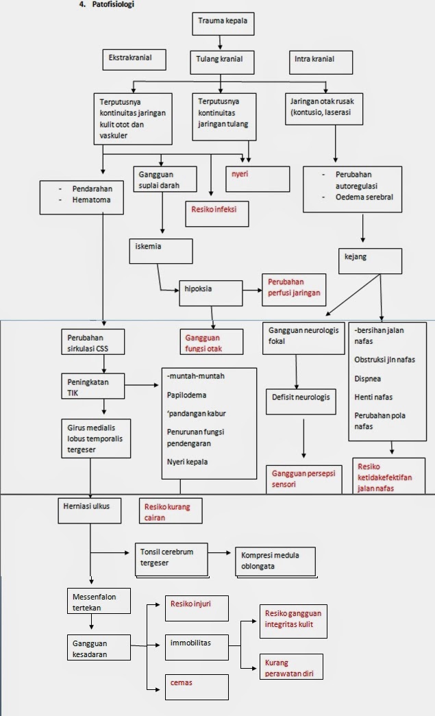 WHAT A NURSE!: HEAD INJURY (TRAUMA KEPALA)