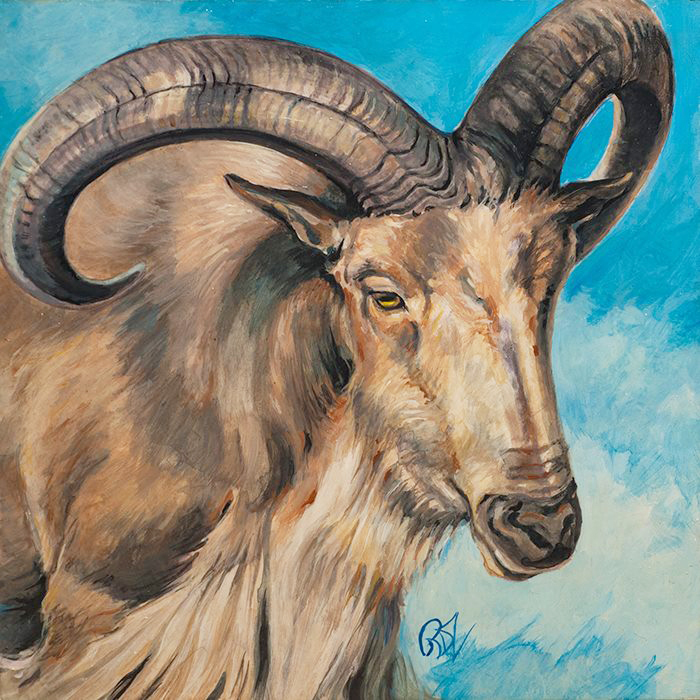 Fine Art Paintings of Rebecca Zook: Animals