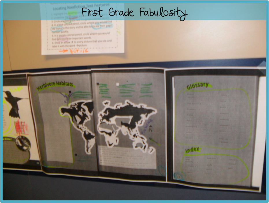 First Grade Fabulosity