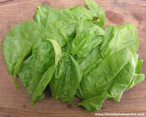 Fábrica de Comida Naturista: Ensalada de Espinaca cruda