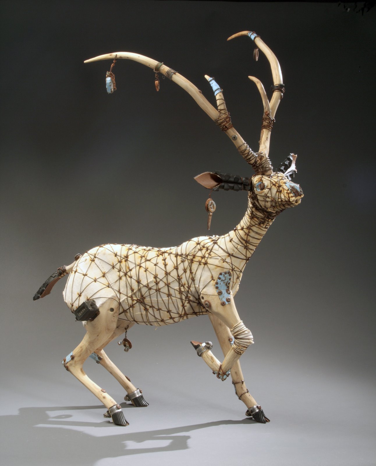 The Paper Coyote: Geoffry Gorman