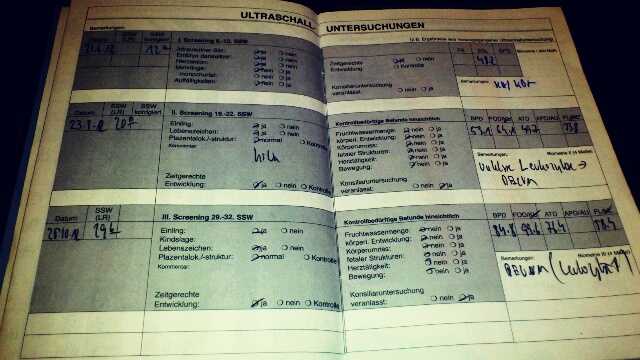 Jessy on Tour: Darf ich vorstellen? Mein Mutterpass : )