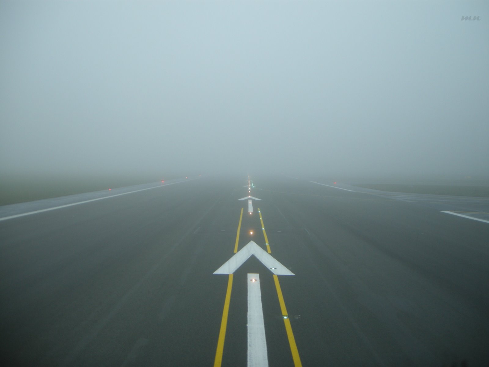 pics from the office: 2011/11