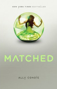 DIY kinda girl: Matched book review