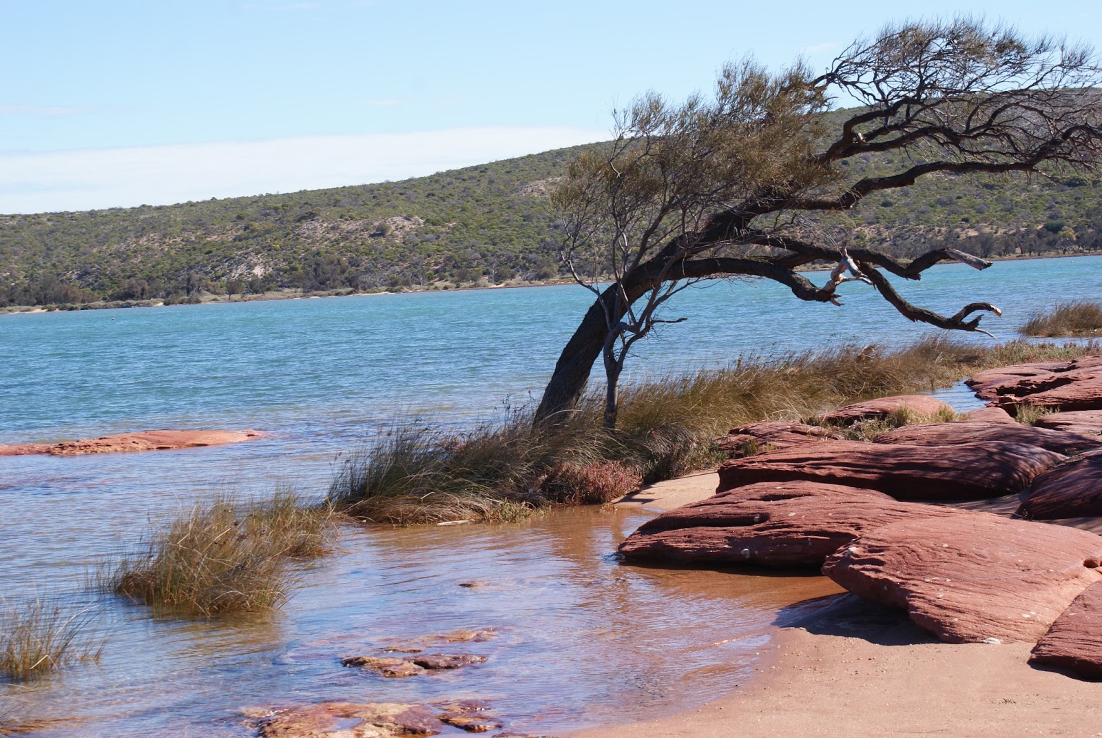 Amelia the explorer: Kalbarri, Western Australia