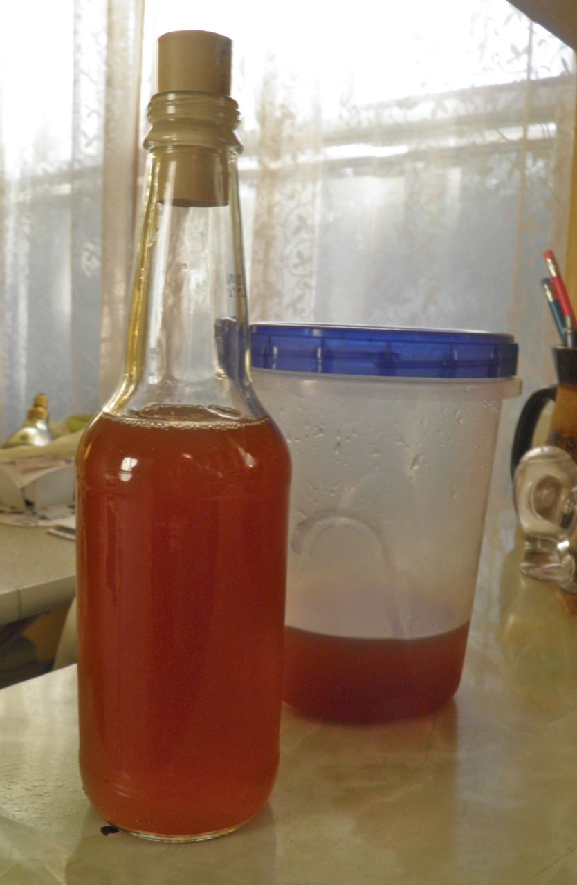 Docaitta Lifestyle: Foraging for Syrup: Rose Hips