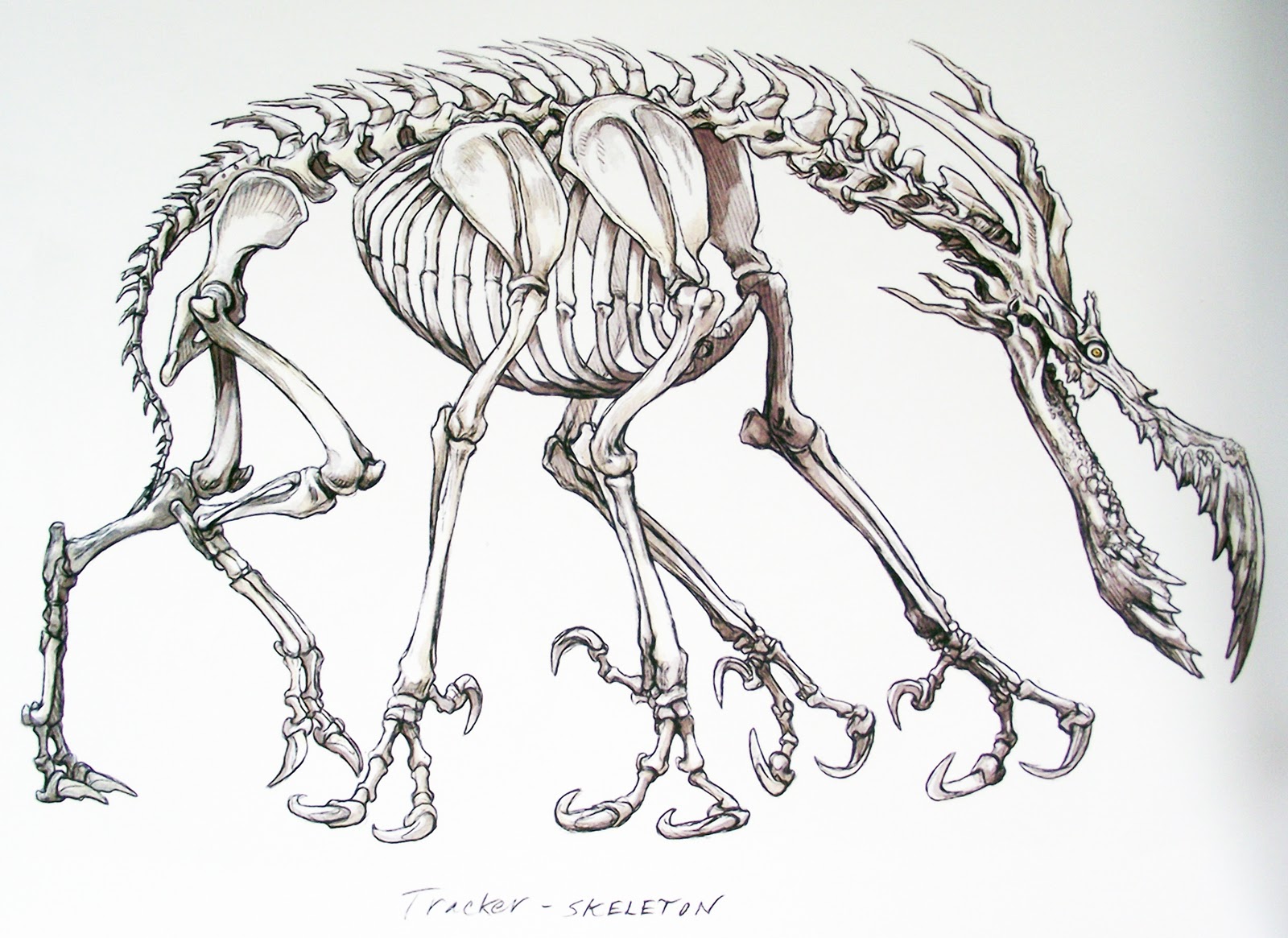 Steph's Creature Gallery: Inspiration