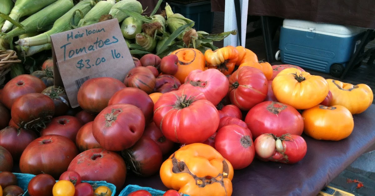 My Munchable Musings: My Munchable Soapbox: Frankenfood, Again?