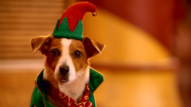What Kind Of Dogs Are In Santa Paws 2