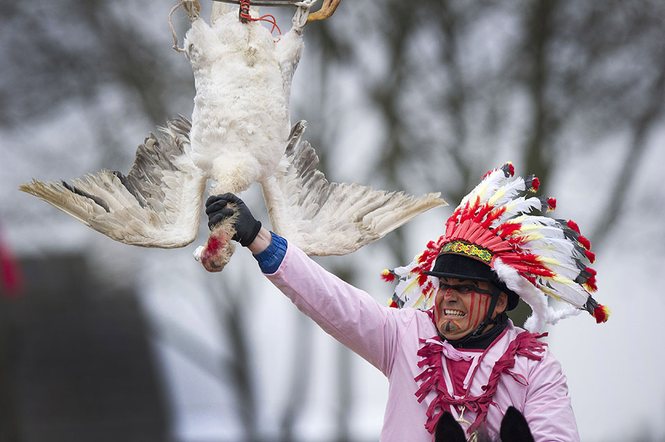 STOP - Penyiksaan Hewan Atas Nama Tradisi ~ KACAMATA PENYULUH KB