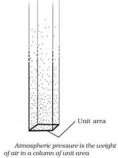 Notes of Ch 11 Force and Pressure| Class 8th Science