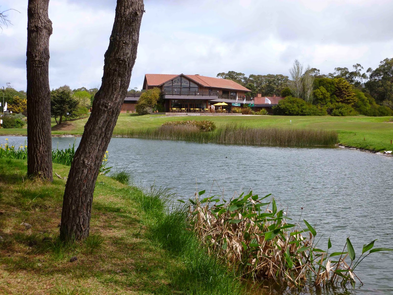 Deportiva Zonal - Pinamar y Gral. Madariaga: GOLF: PINO DE ORO