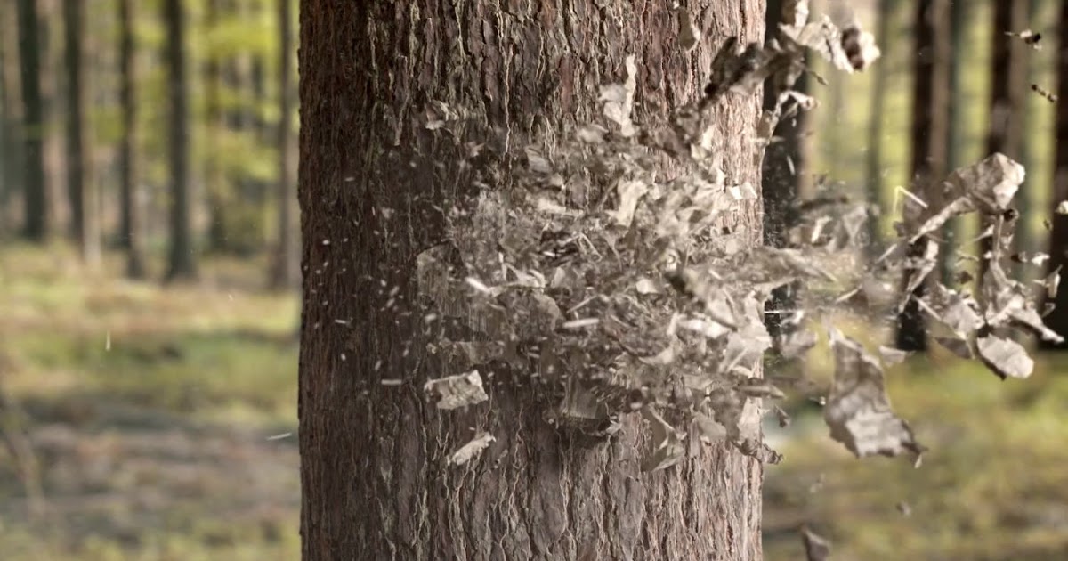 Breakdown Bullet Tree Hit with Houdini and Redshift | CG TUTORIAL