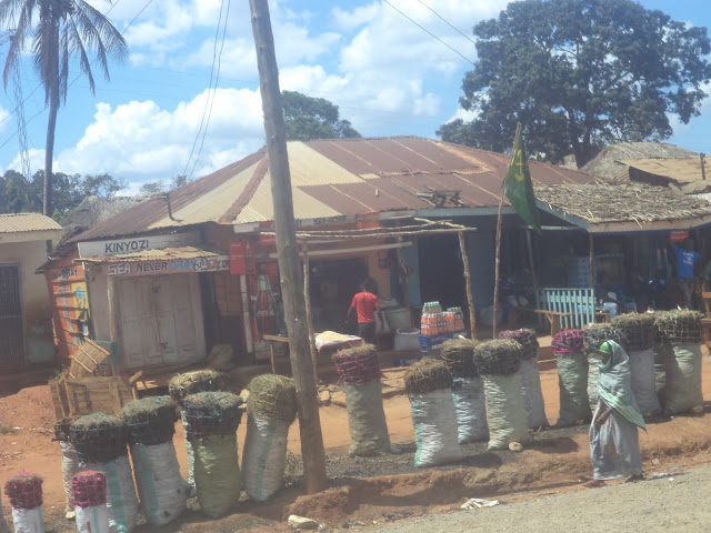 MAISHA NA MAFANIKIO: MAGUNIA YA MKAA KANDOKANDO YA BARABARA..TUKUMBUKE ...