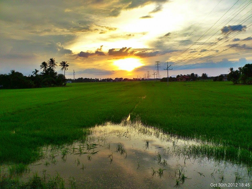 SUKMA di Perlis..Homestay Tambun Tulang turut merasa tempias ...