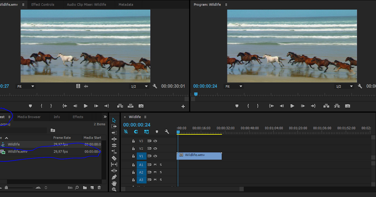 Cara Color Grading Di Adobe Premiere pro