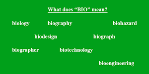 BIO là viết tắt của từ gì? BIO là gì? BIO nghĩa là gì? - English Lives