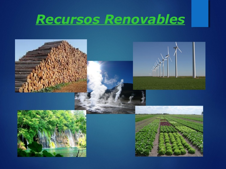 Recursos Naturales: noviembre 2017
