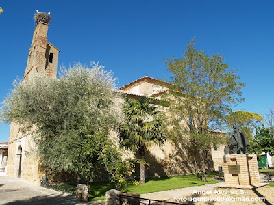 Valladolid y sus pueblos: Mayorga