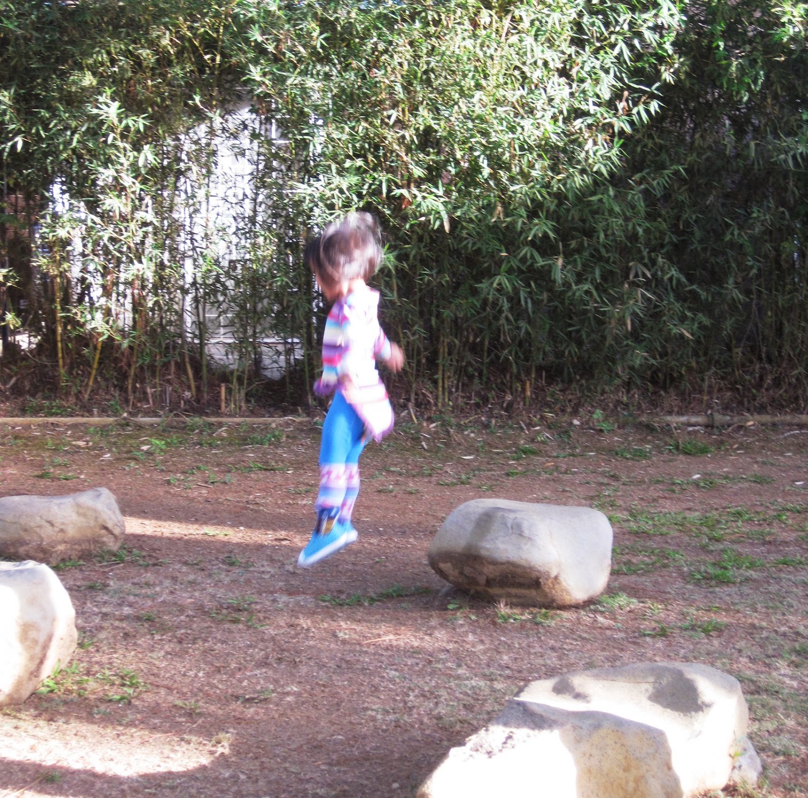 Brookside Baby: Jump shots