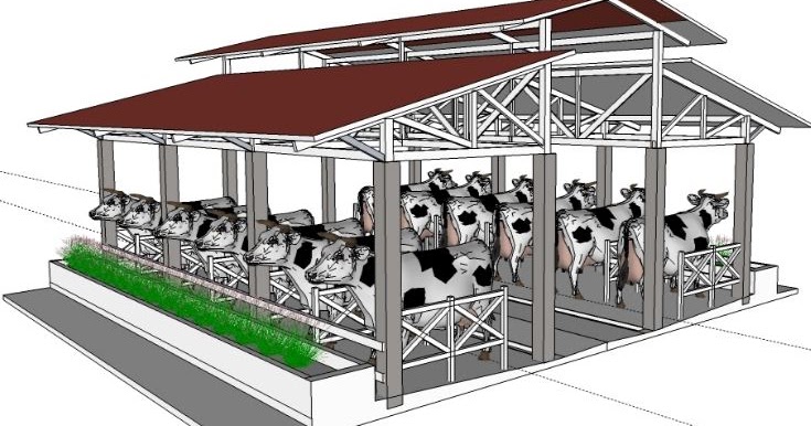 Top Info Desain Kandang Sapi Perah Modern