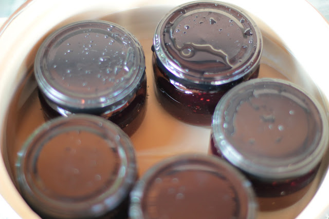 bake your slovak roots / slovenské korene: Blackberry Lekvar ...