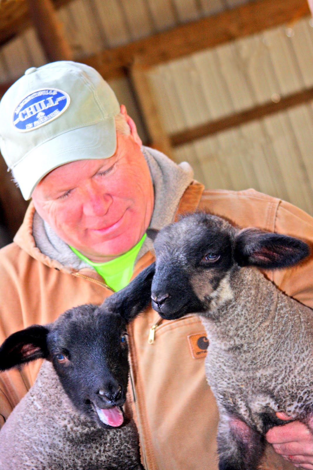 Luv A Lamb...Be A True Buddy