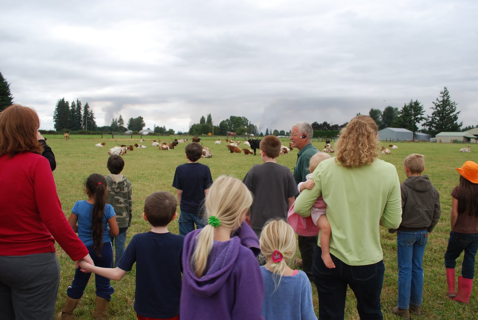 Homeschooling in the Mid-Willamette Valley: Ling Farm- Texas Long Horn ...
