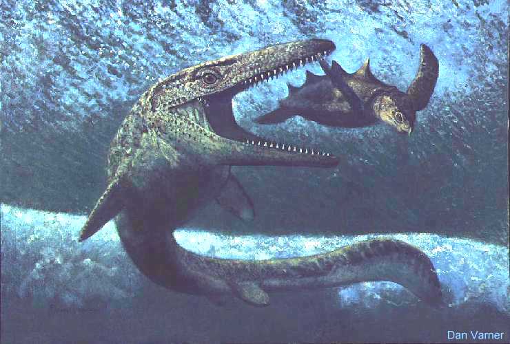 Extinct Animal of the Week: Tail Oars