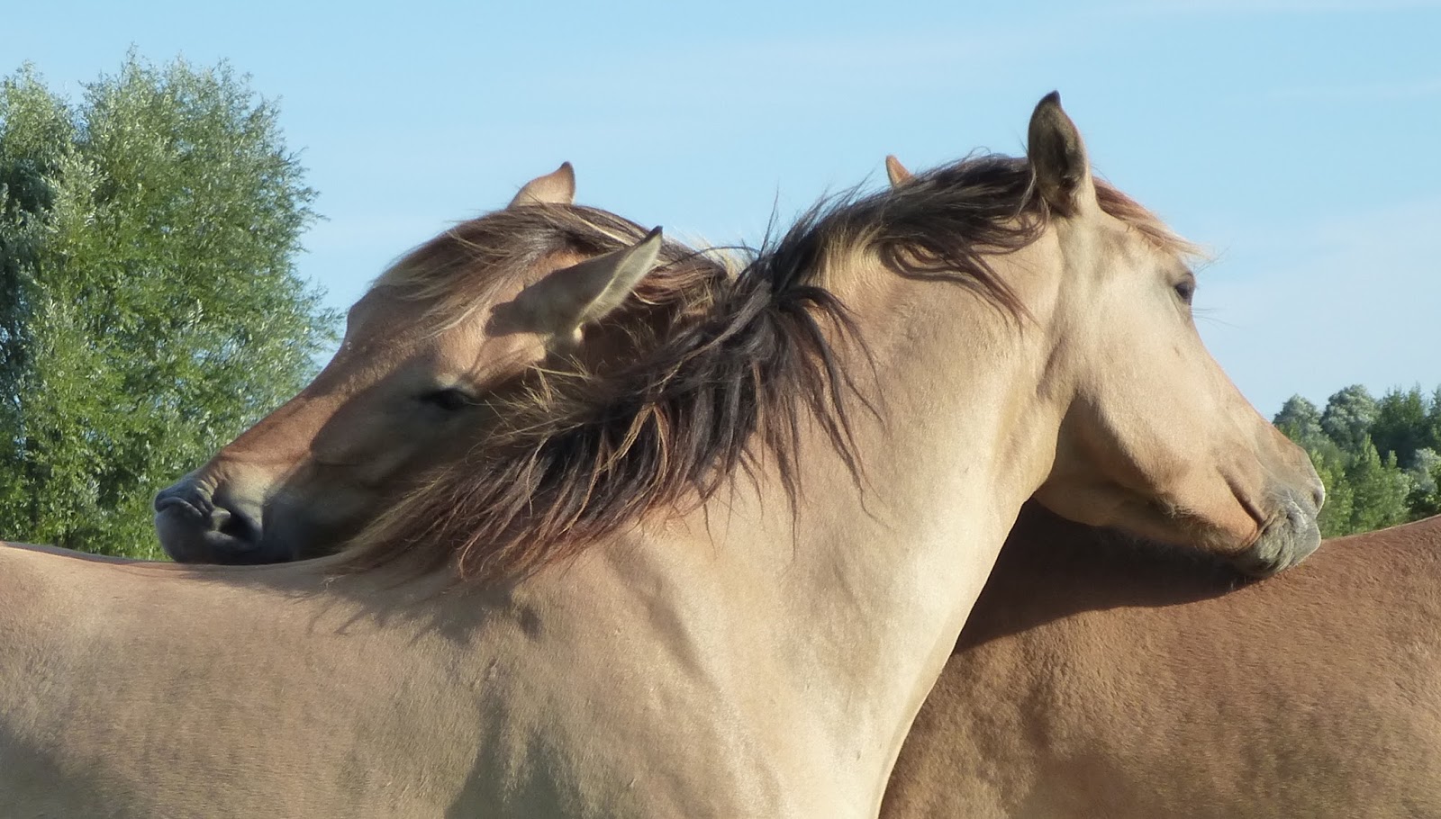 A French Education: September 2013