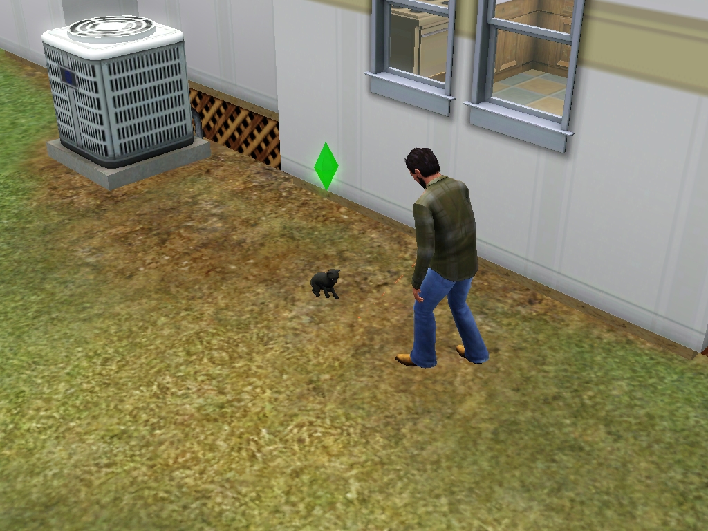 Roxy's Sims 3 Play Logs : Perfect Sim