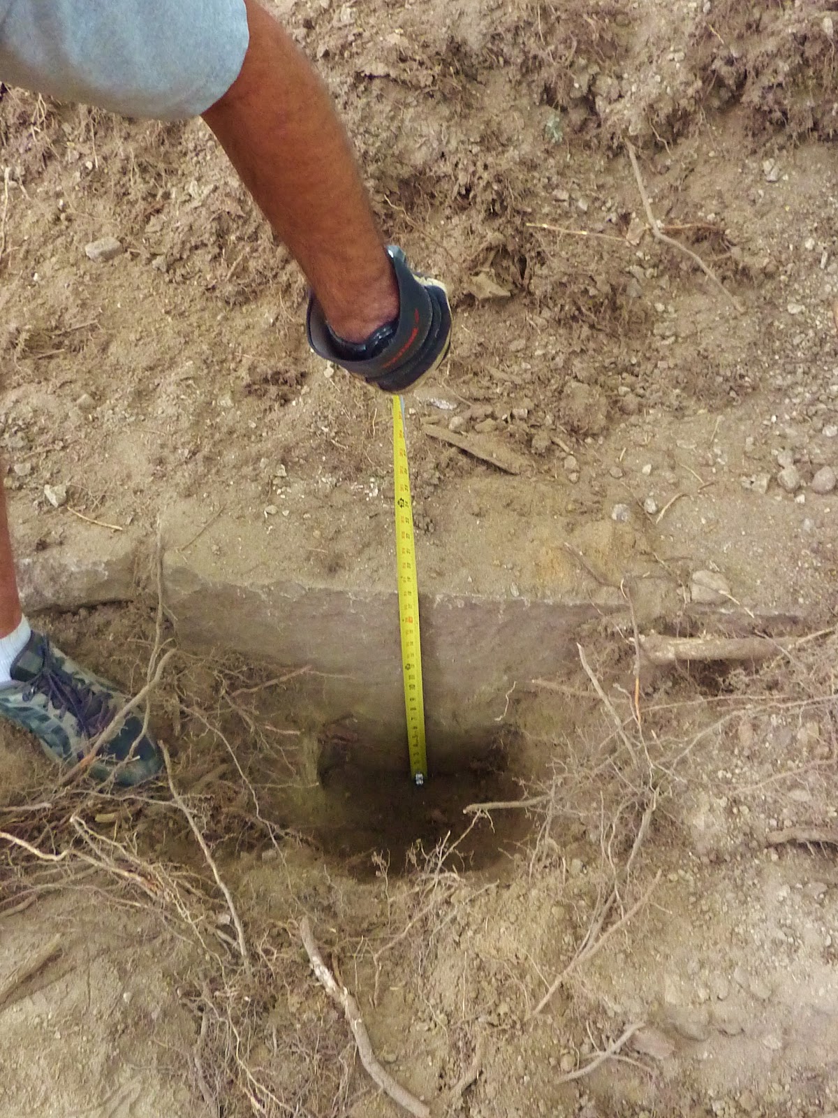 for the love of a house: antique stone beehives and a granite curb update