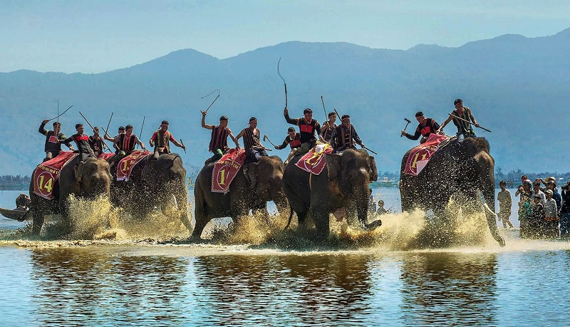 Elephant Racing Festival