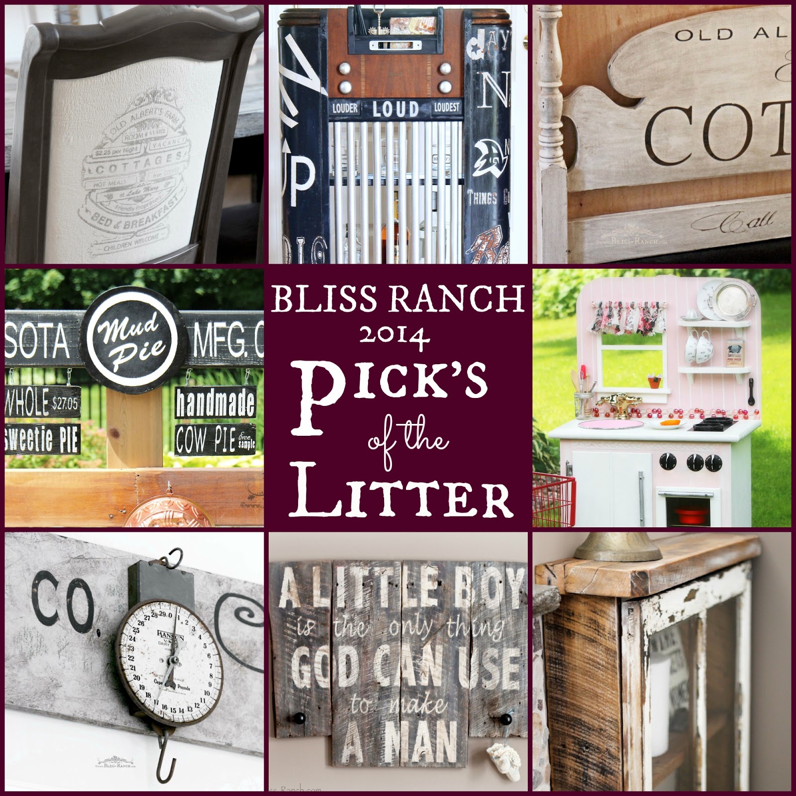 Bliss Ranch: 2014 Pick Of The Litter Projects