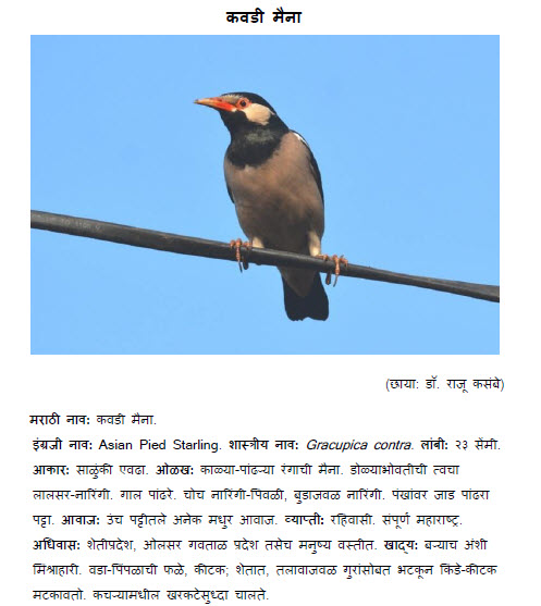 World Tourist Destinations: Bird information in marathi
