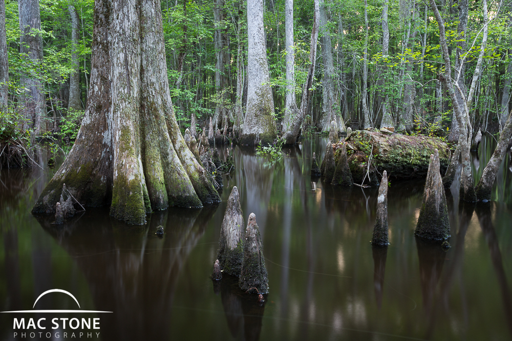 Mac Stone Photography