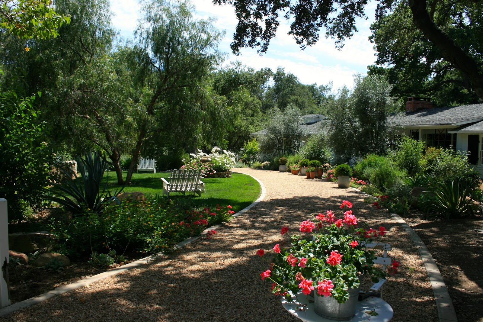 The Polished Pebble: Trees