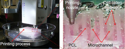 What's Creative?: Integrated Tissue and Organ Printing System