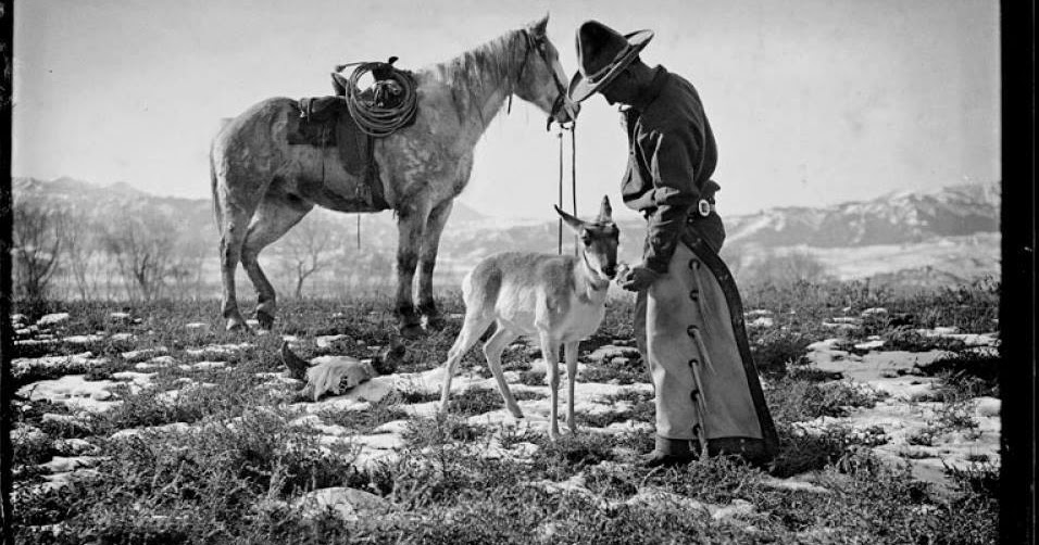 Navasota Ranch: Fun photo's & Thoughts