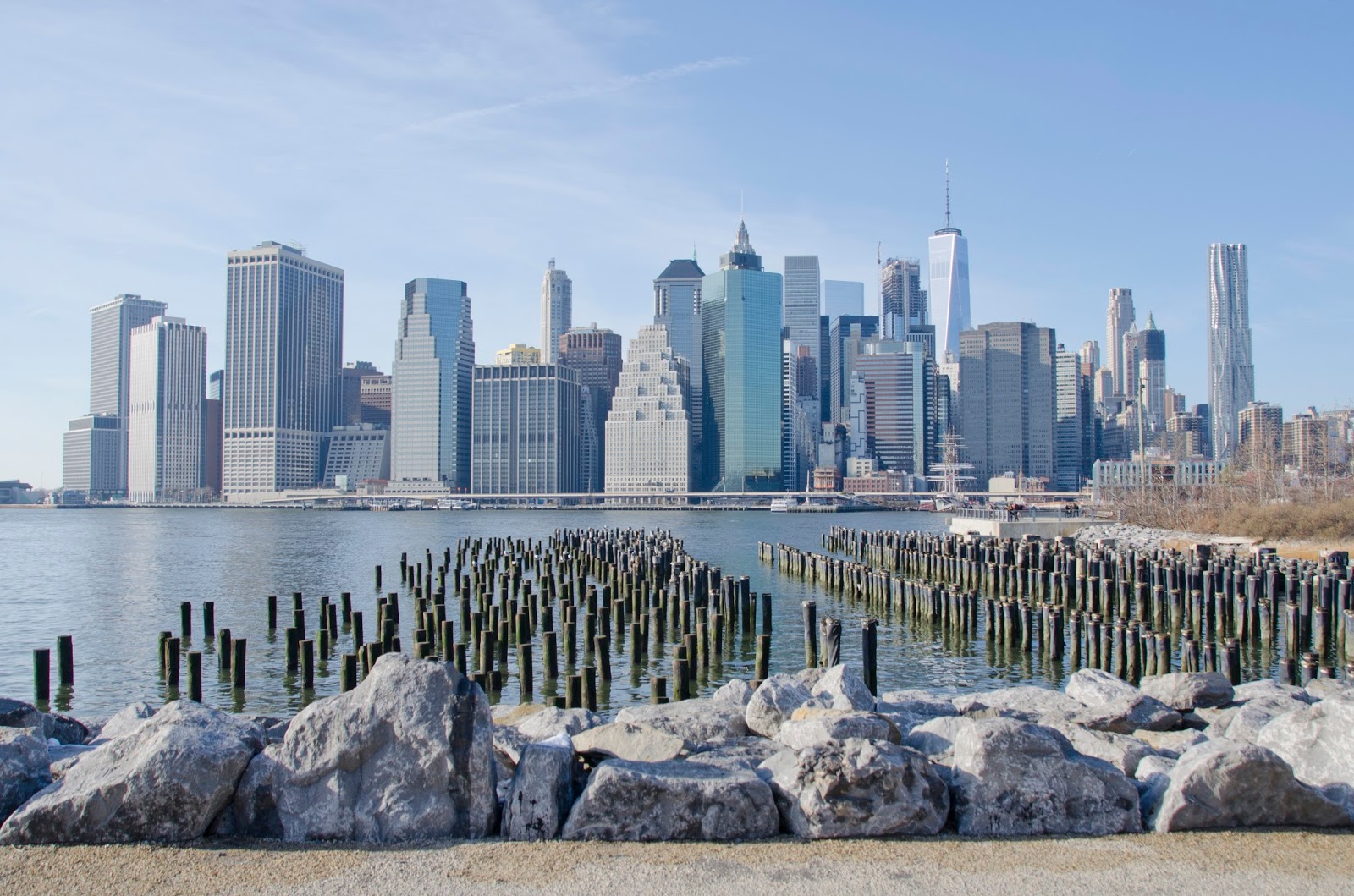 Urban Wildlife Guide: January Sun