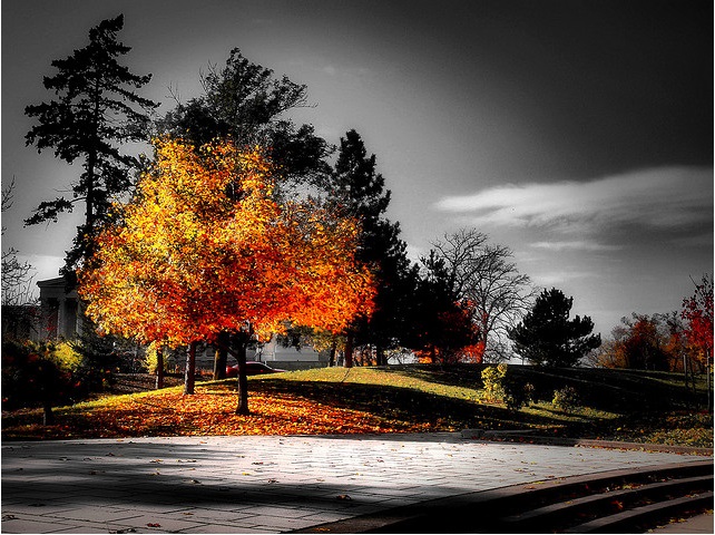 30 Stunning Best Selective Color Photos - Fun photographs |Web Design ...