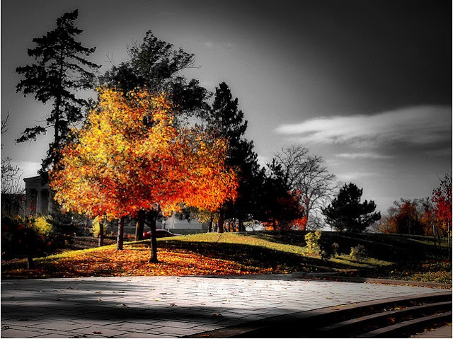 30 Stunning Best Selective Color Photos - Fun photographs |Web Design ...