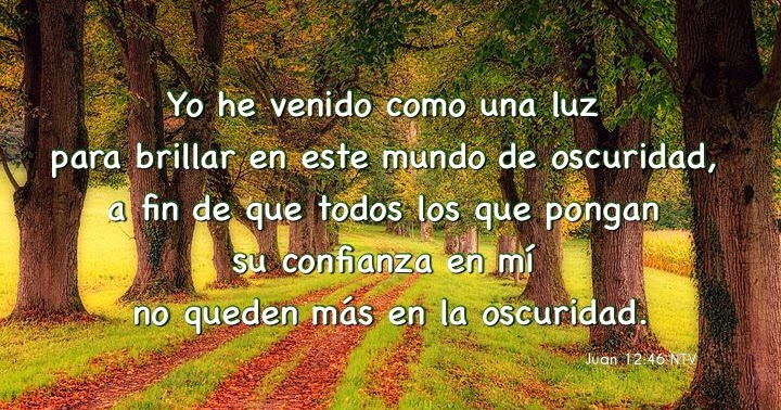 Promesas de Dios: Juan 12:46