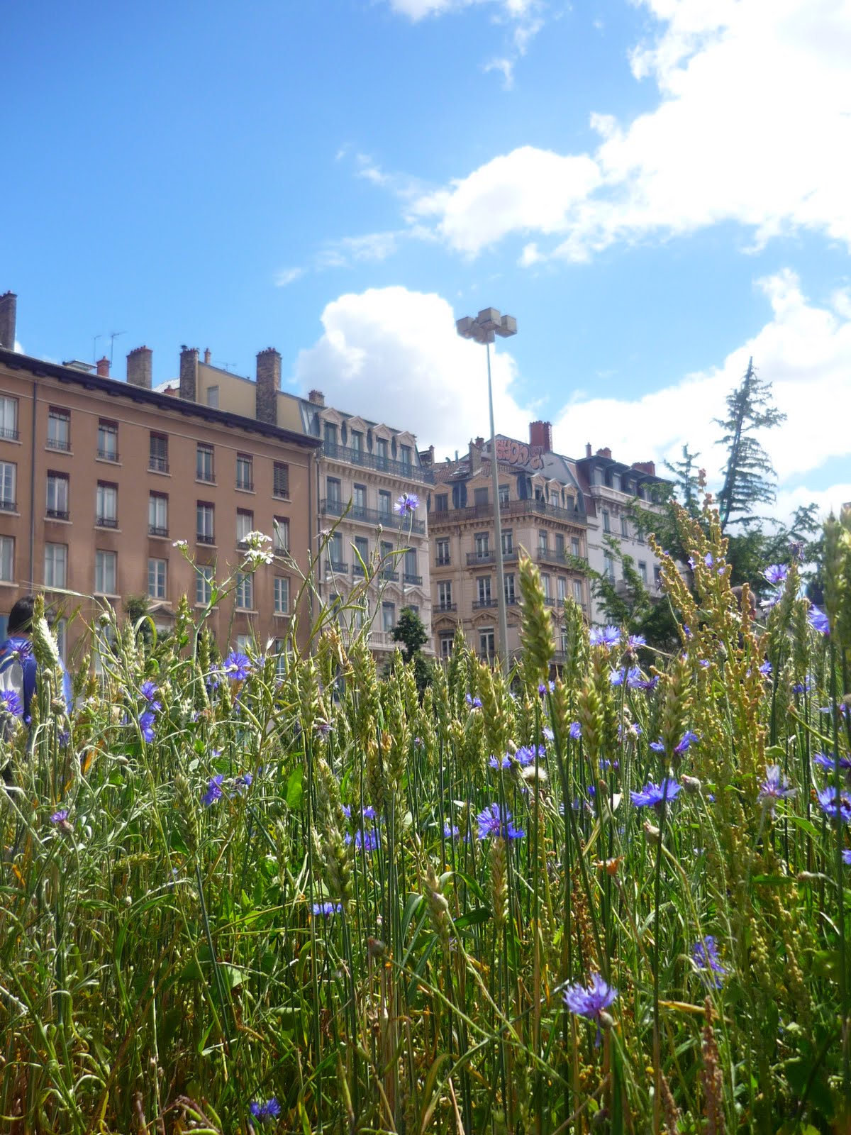 BMEAJ: Nature Capitale Lyon