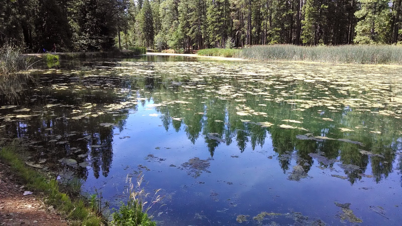 Sheryl's Travels: 07/06/14