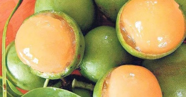 El mamón: Una exquisitez saludable y beneficiosa