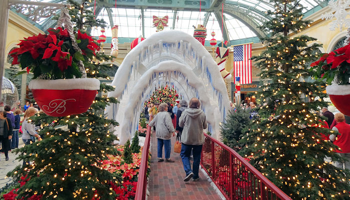 Left Field Wander: The Bellagio Conservatory Winter Floral Display
